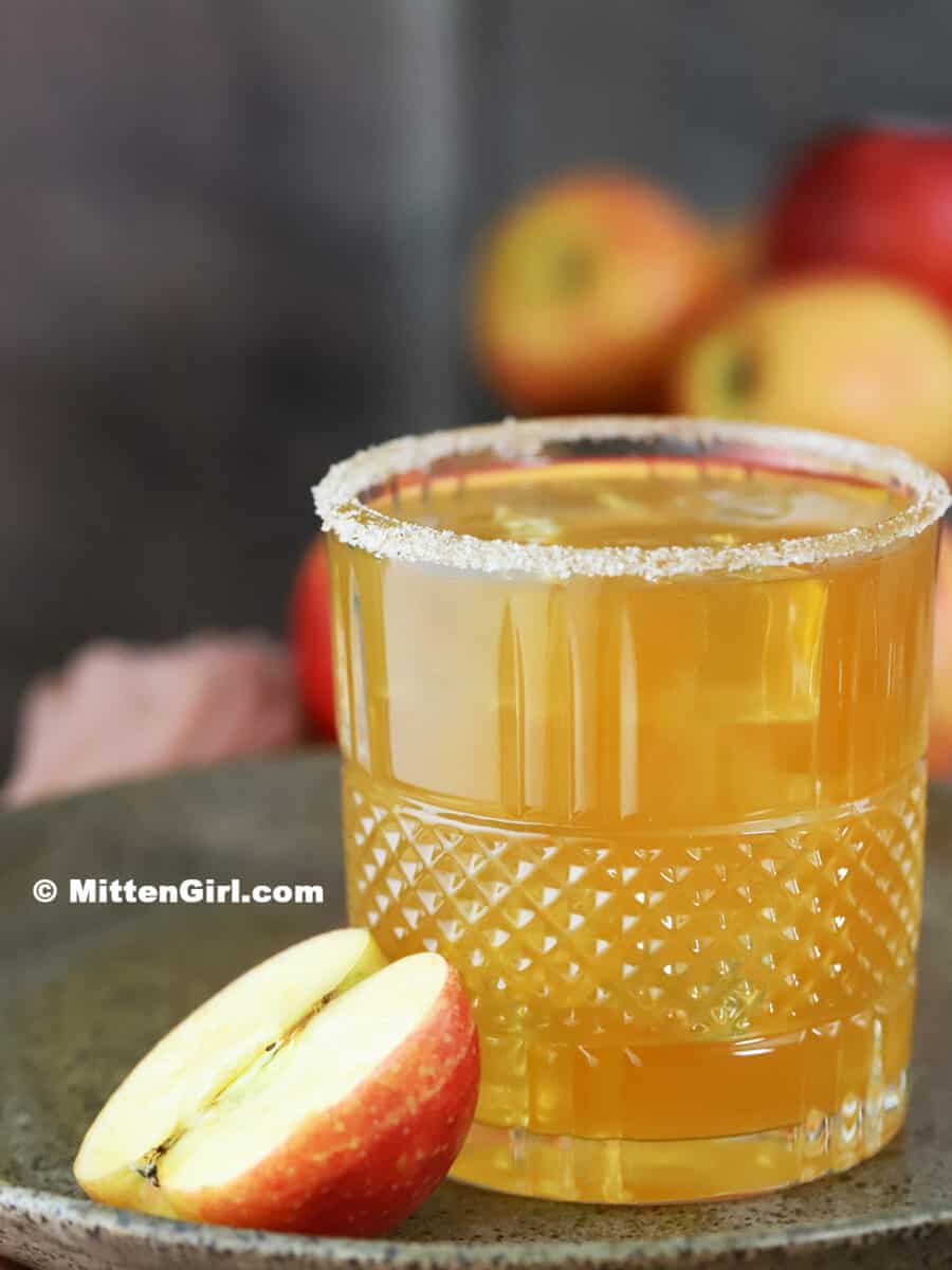 Spiced Apple Cocktail for Fall - Homemade Happy Hour